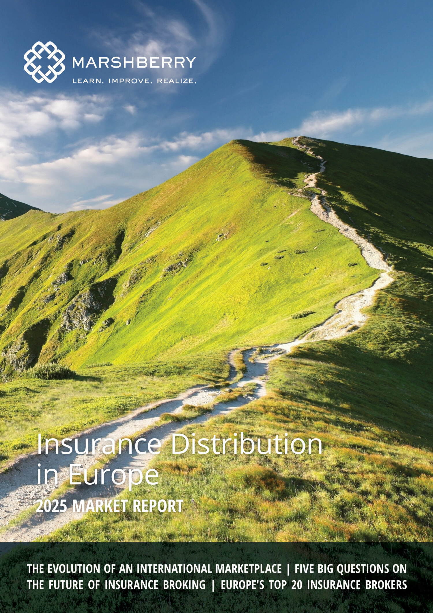 Industry Insights Reports - MarshBerry