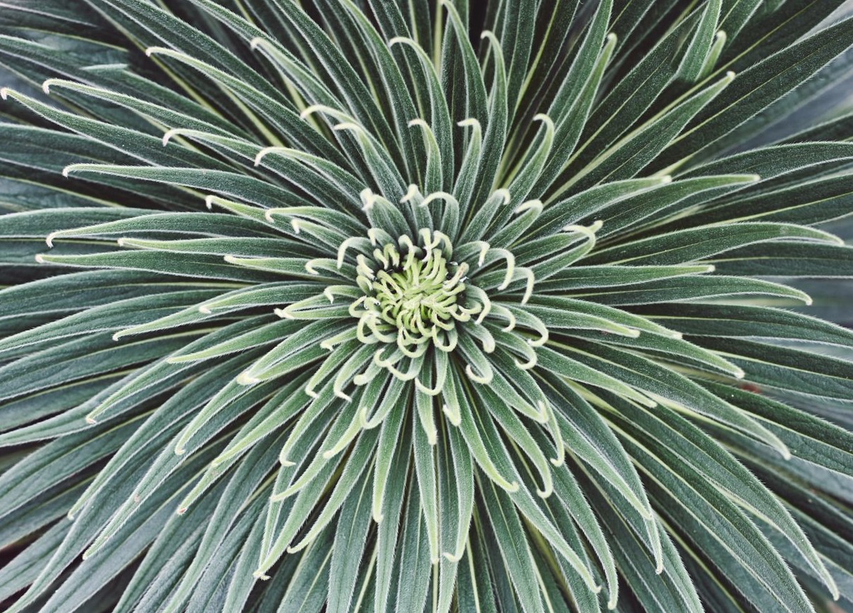 Insurance Brokerages Show Opportunity for Growth in DE&I Programs - MarshBerry