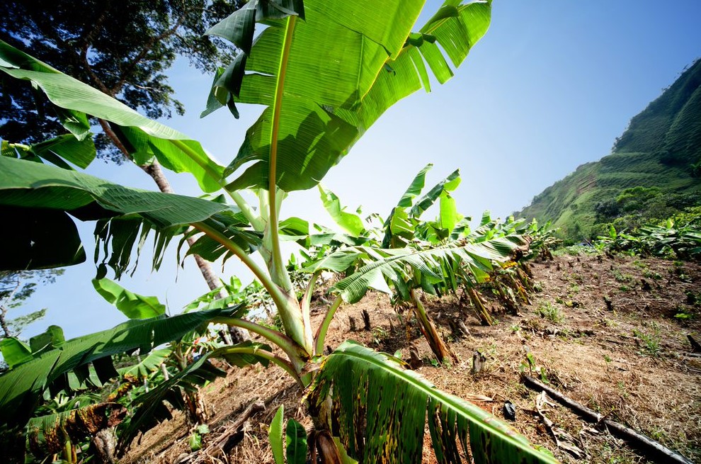 Build a Better Candidate Experience - MarshBerry