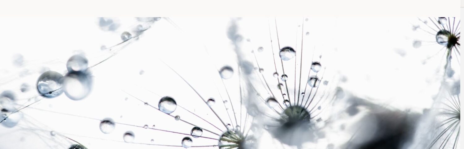 Policies in Force: Drive Better Performance With PIF - MarshBerry