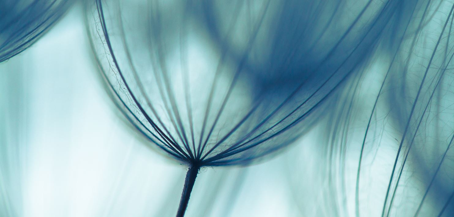 How to Sell Your Business: A Complete Guide to M&A | MarshBerry