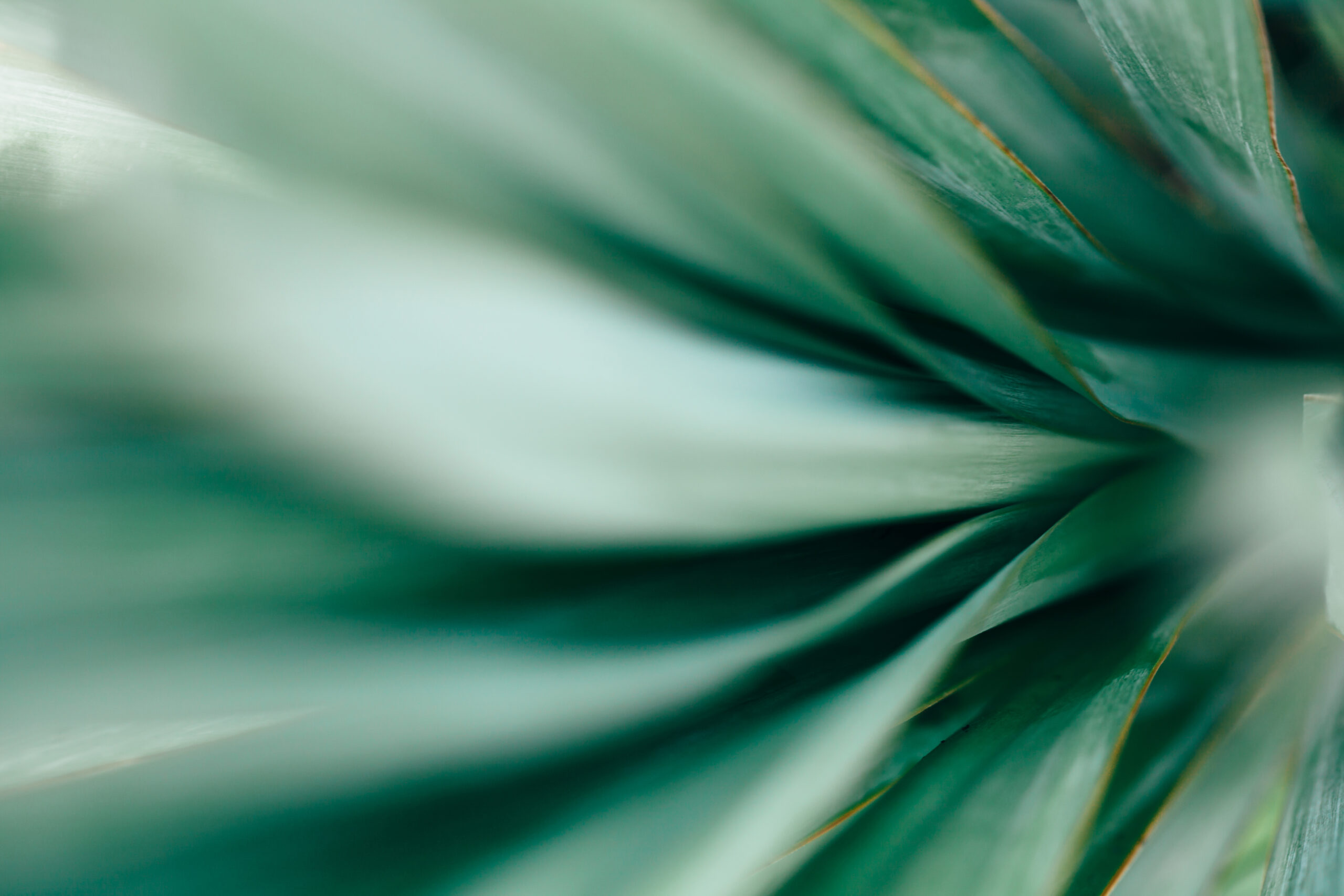 How The E&S Market Became The Backbone For Emerging Risks - MarshBerry
